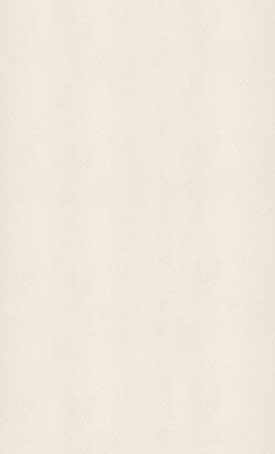 9141 Ice Snow | Caesarstone Benelux